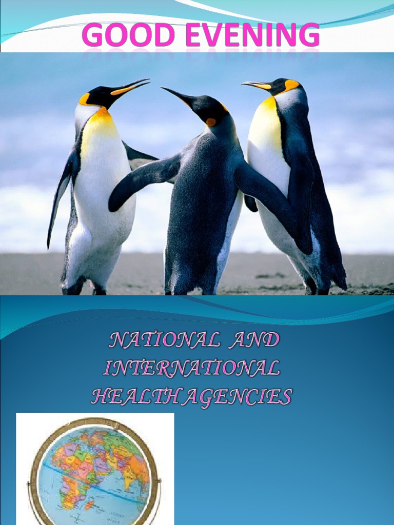 Agency | PDF | World Health Organization | Unicef