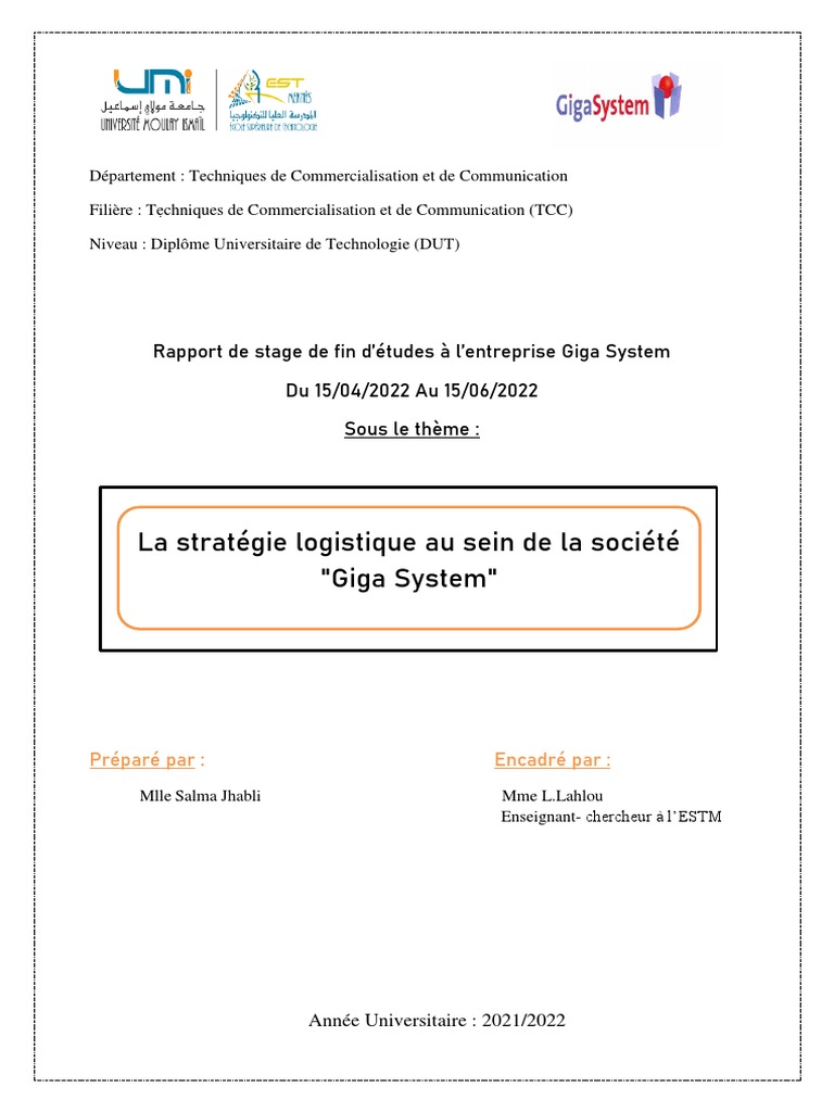 Rapport de SFE PDF | PDF