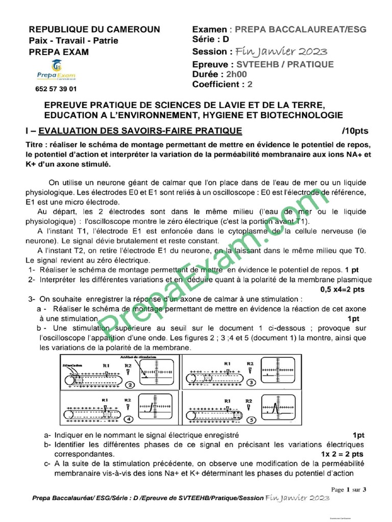 Epreuve Pratique Svteehb Tled Fin Janvier Prepa Exam 2023 | PDF