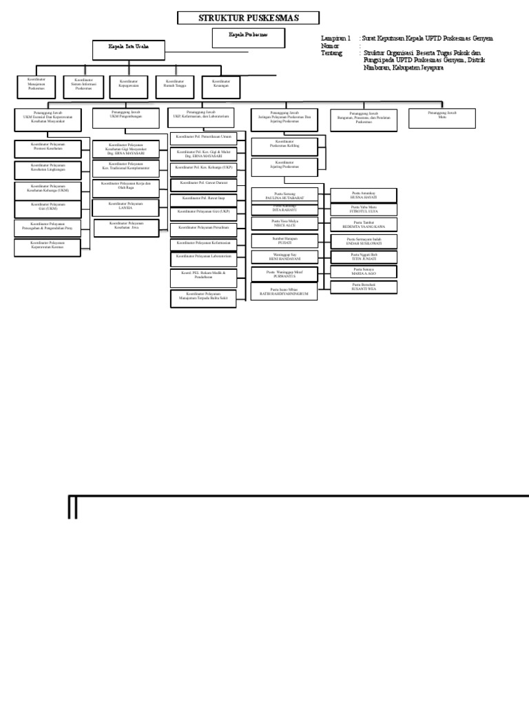 Format Struktur Organisasi PMK NO 43 THN 2019 | PDF