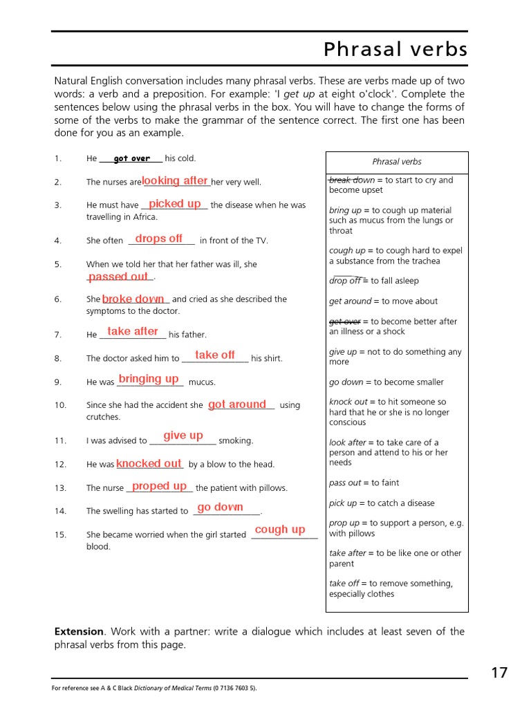 Medical English Vocabulary Exercises | PDF