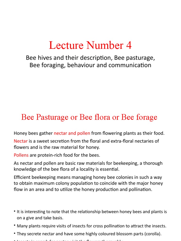 Lecture Bee Hives and Their Description, Bee Pasturage, Bee Foraging ...
