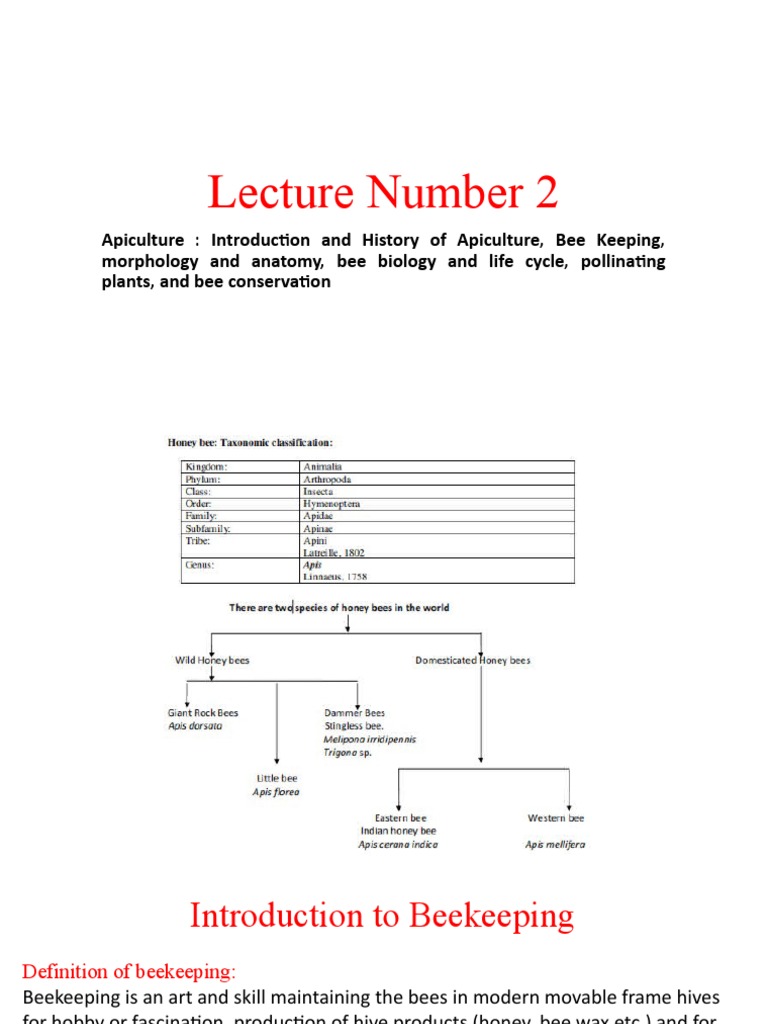 Lecture Introduction and History of Apiculture | PDF