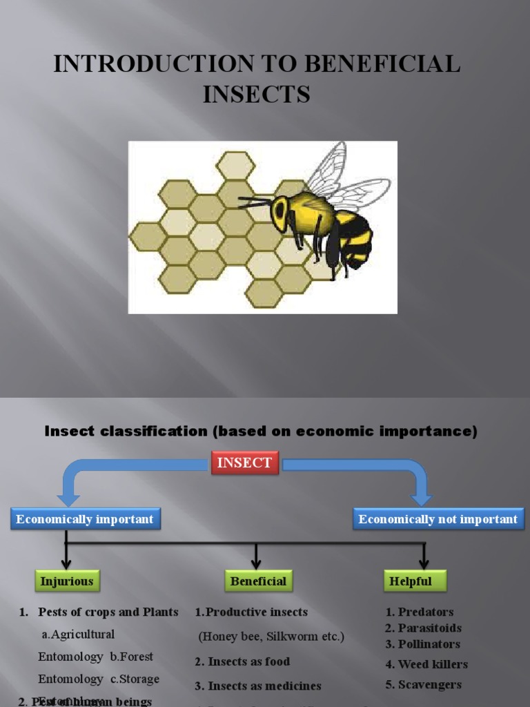 INTRODUCTION TO BENEFICIAL INSECTS (Industrial Ento) | PDF