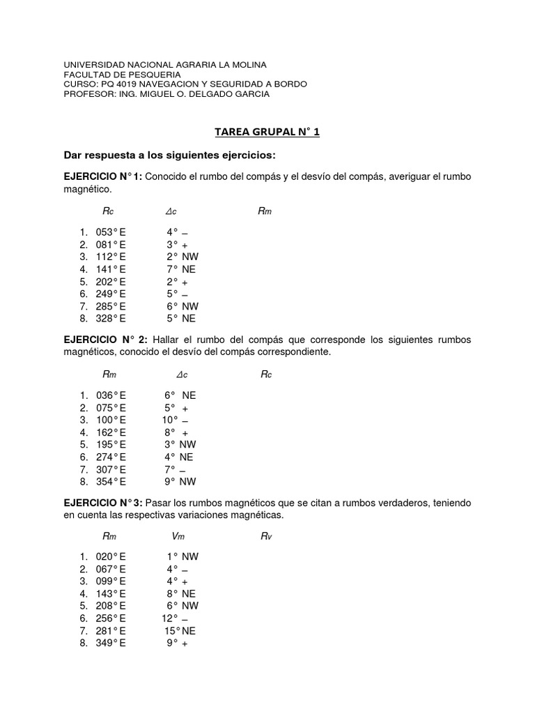 Tarea Grupal 1 Rumbos | PDF