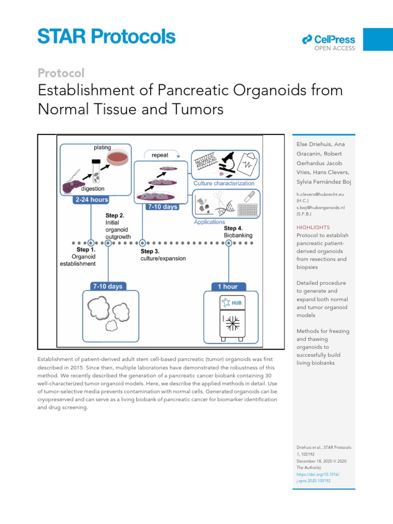 Pancreatic Cancer Organoid Protocol | PDF