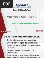 Regla de los 9 en Quemaduras | PDF | Quemar | Enfermedades y trastornos ...