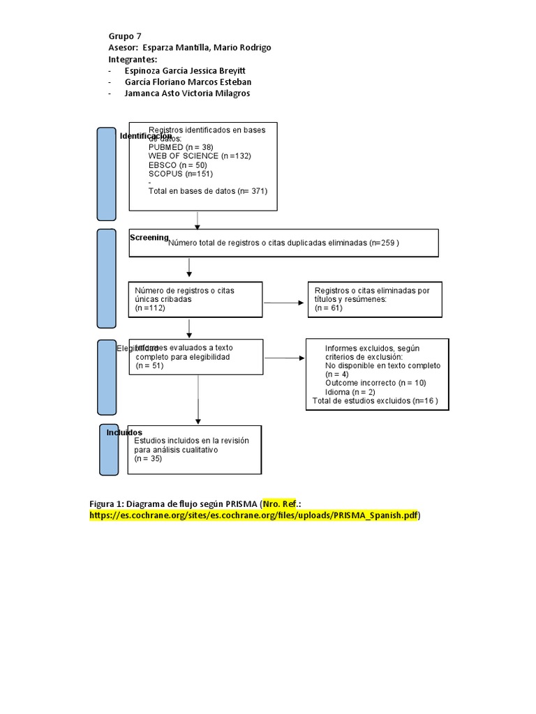 Diagrama de Flujo PRISMA en Español | PDF