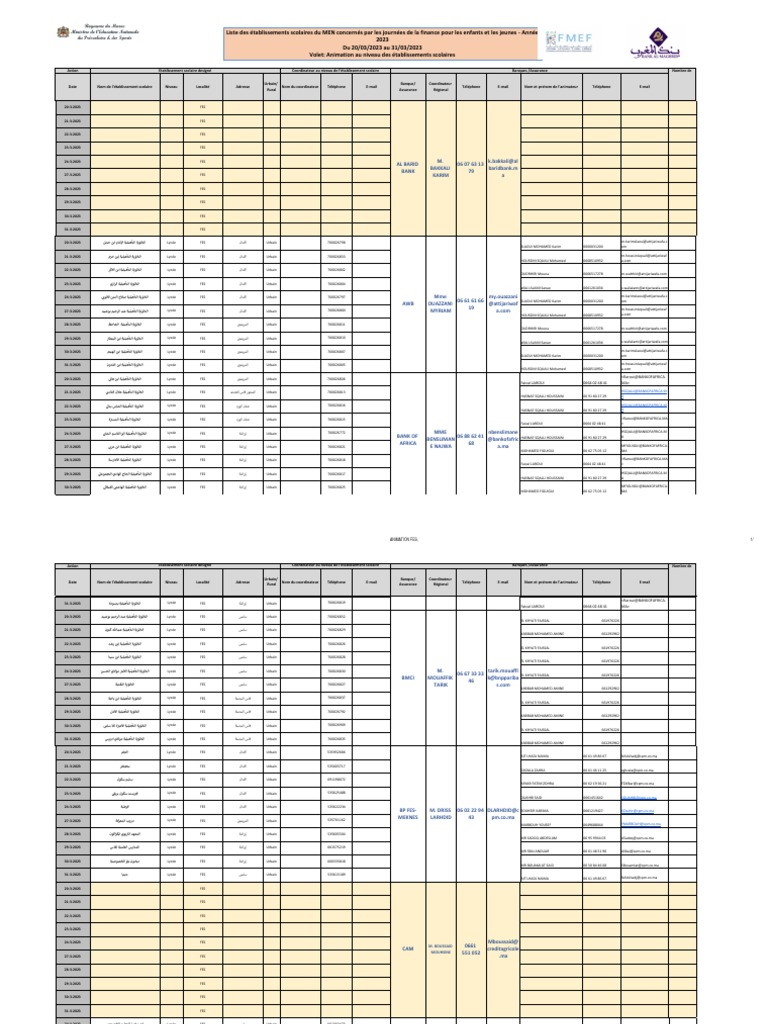 Gmw 2023 Cible Men Animation Fes | PDF