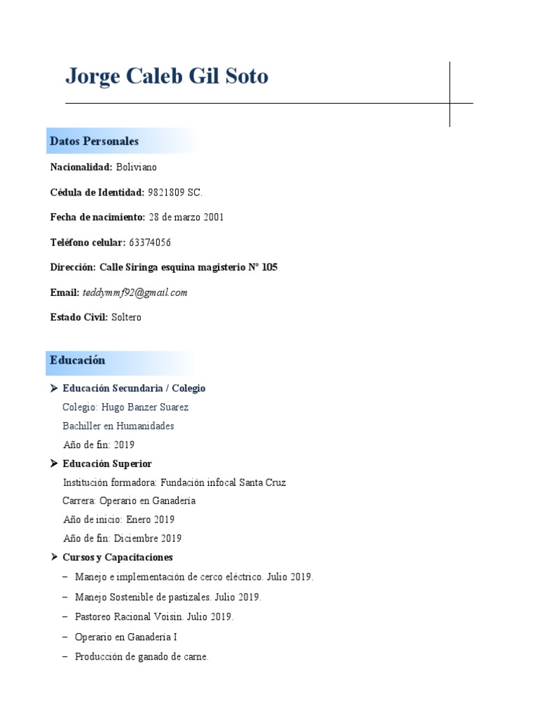 Curriculum Jorge Caleb Gil Soto | PDF