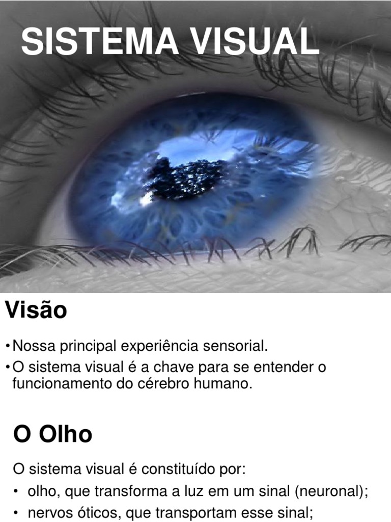 Sistema Visual | PDF | Sistema visual | Olho