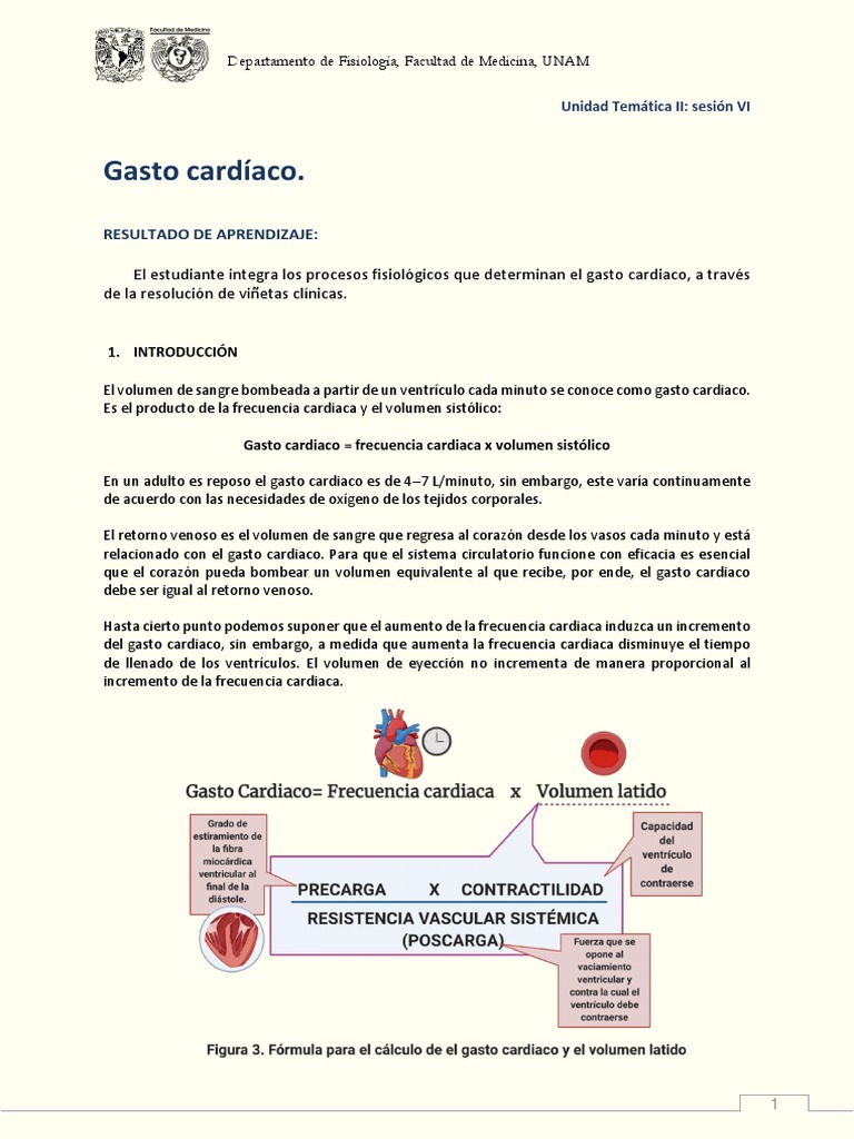 UTII 6 Gasto Cardiaco | PDF