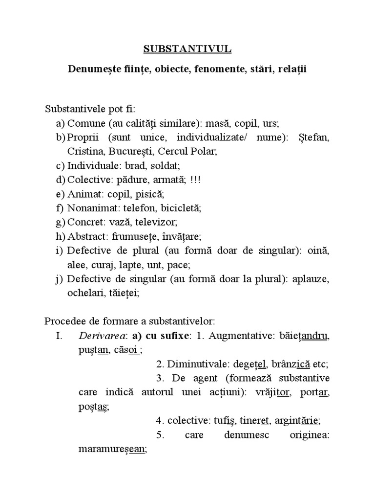 SUBSTANTIVUL | PDF