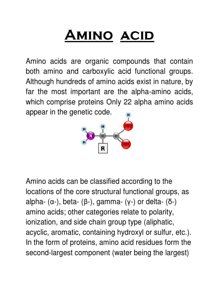 Amino Acid 22 | PDF | Amino Acid | Biosynthesis