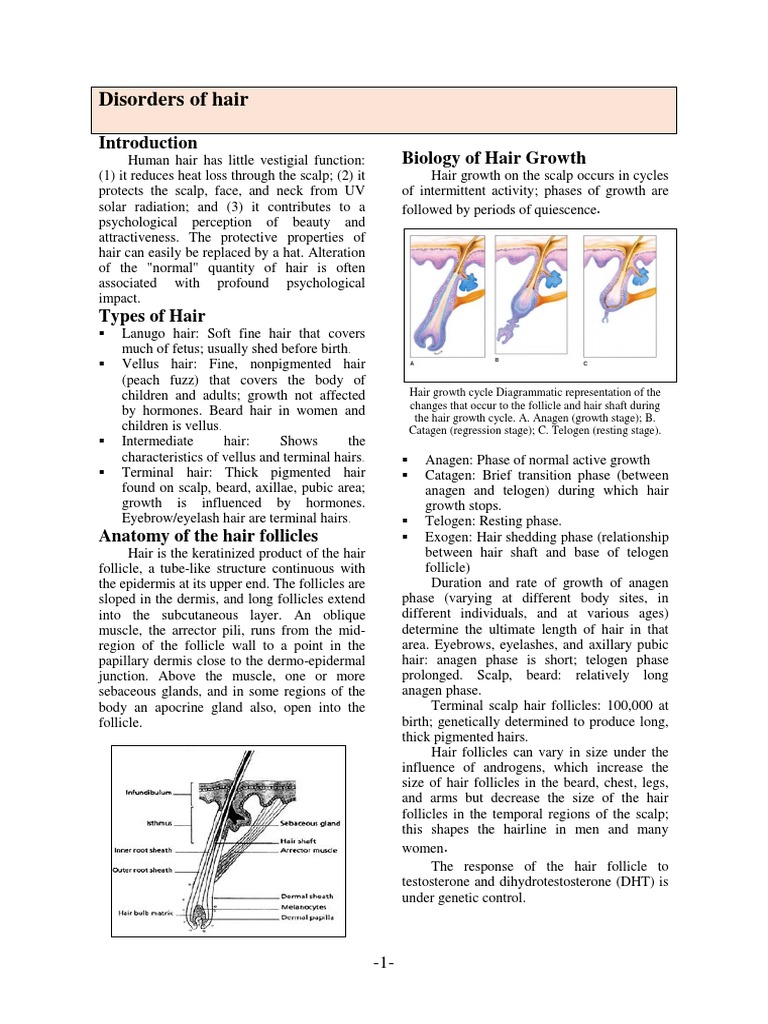 Disorders of Hair | Download Free PDF | Hair Loss | Hair