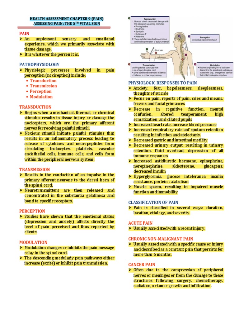 Health Assessment Notes Pain and Violence | PDF | Pain | Domestic Violence