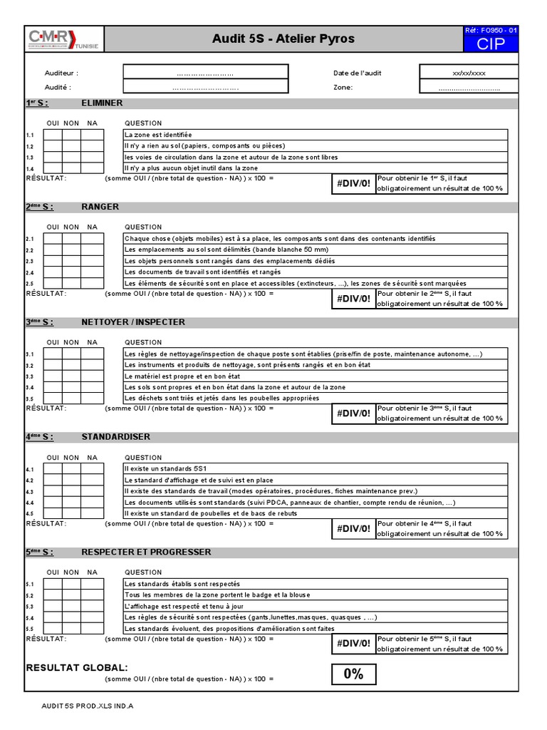Audit 5S - Atelier Pyros | PDF