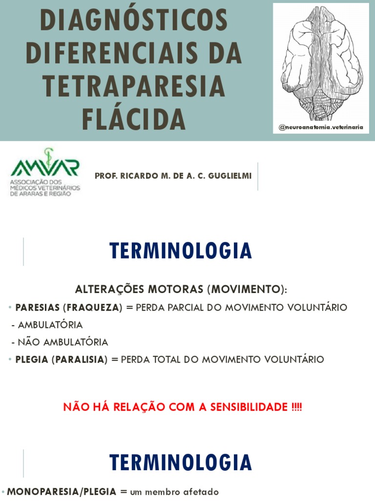Diagnósticos da Tetraparesia Flácida | PDF | Músculo esquelético | Nervo