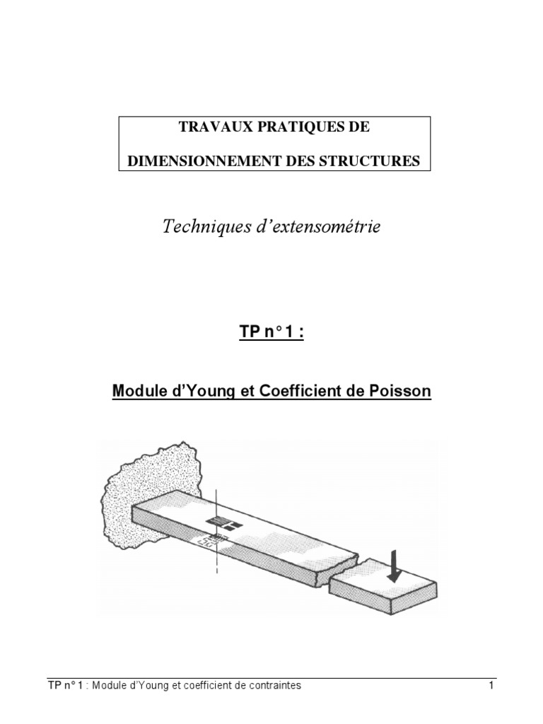 TP1 Module Young | PDF