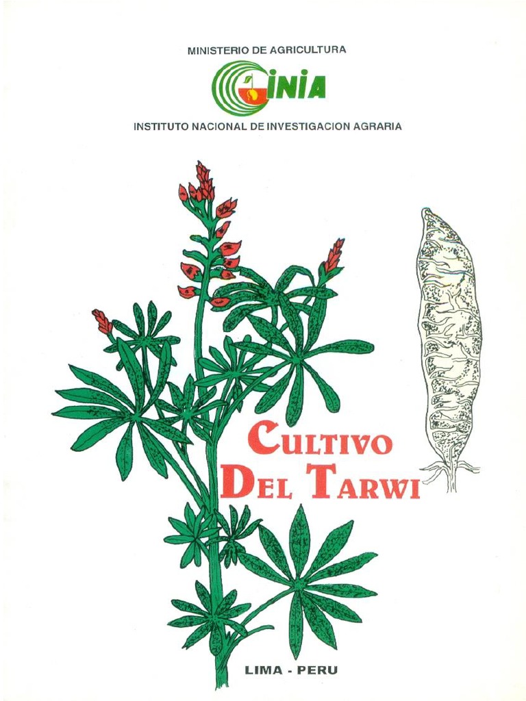 Cultivo Tarwi | PDF | Agricultura | Siembra