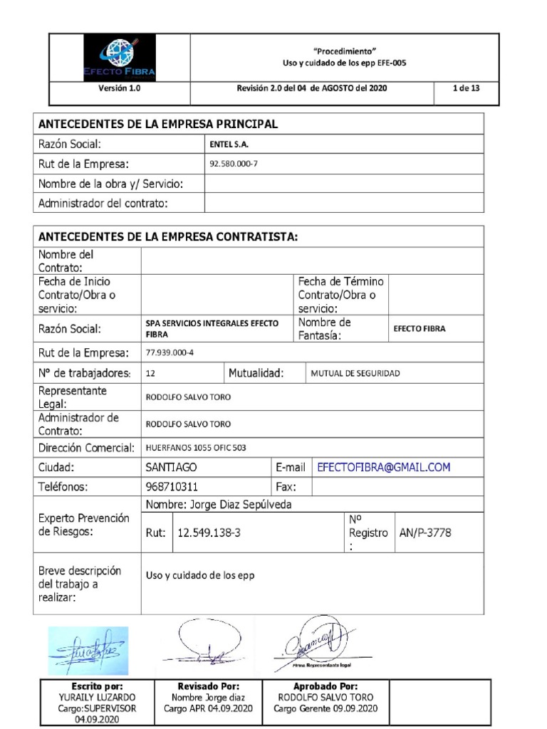 PTS Efe-008 Uso y Cuidado de Epp | PDF