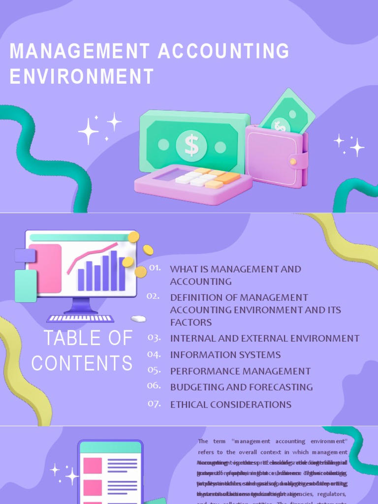 Management Accounting Environment | PDF