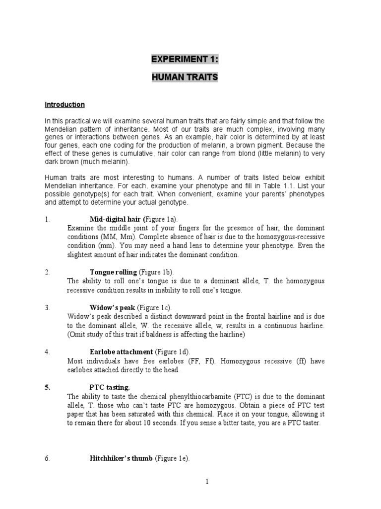 Experiment 1-Human Traits | PDF | Genotype | Dominance (Genetics)