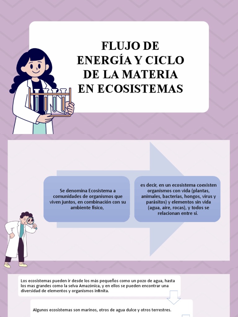 Flujo de Energía y Ciclo de La Materia en Ecosistemas | PDF | Red ...