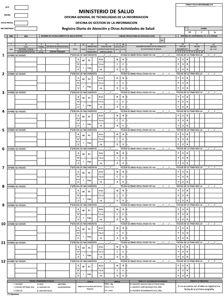 Formato His 2022 | PDF