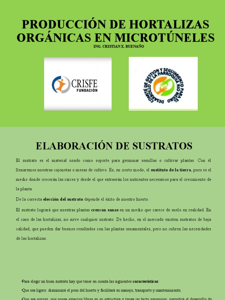 Sustratos y Siembra de Hortalizas Orgánicas | PDF | Plantas | Vegetales