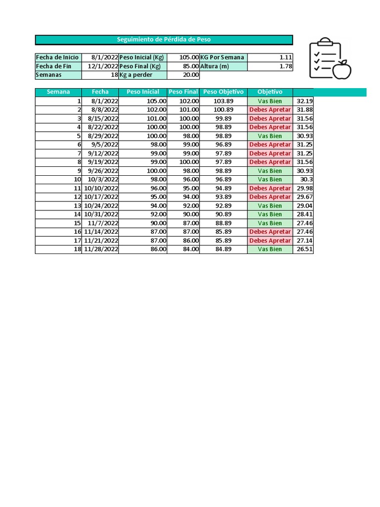 Control de Peso y Medidas en Excel | PDF