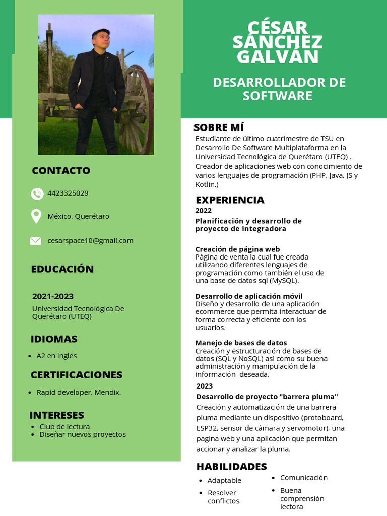 CV - César Sánchez Galván | PDF