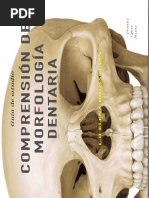 Nomenclatura Dentaria - El Código Internacional (FDI) | PDF | Diente ...