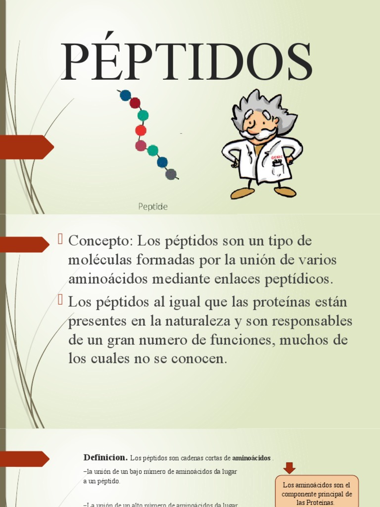 PÉPTIDOS | PDF | Péptido | Aminoácidos