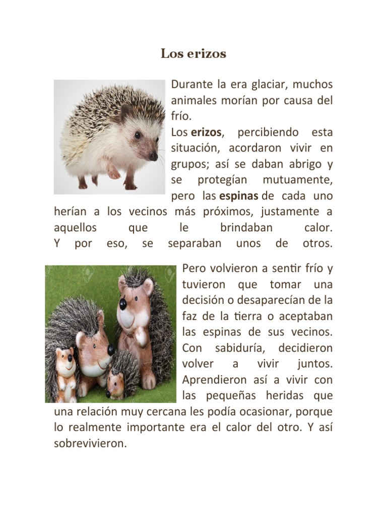 Los Erizos 1ero | PDF