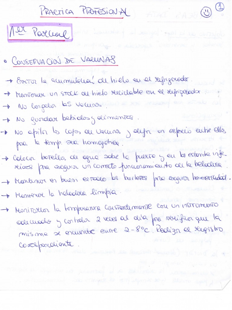 Resumen Practica Profesional Sole | PDF