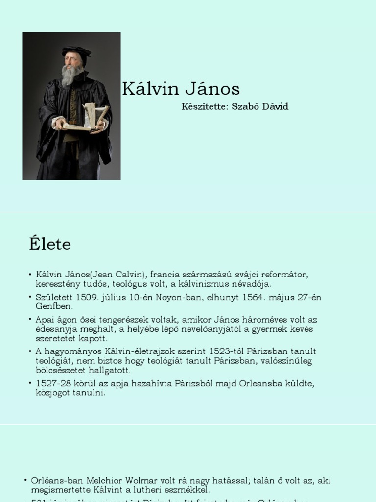Kálvin János | PDF