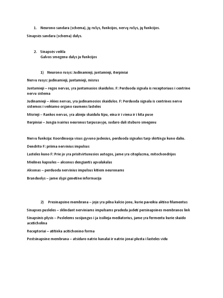 Neurono Sandara | PDF