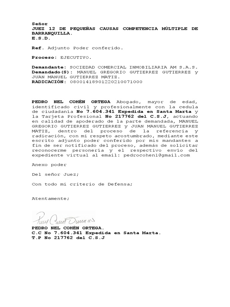 memorial-adjuntando-poder-pdf