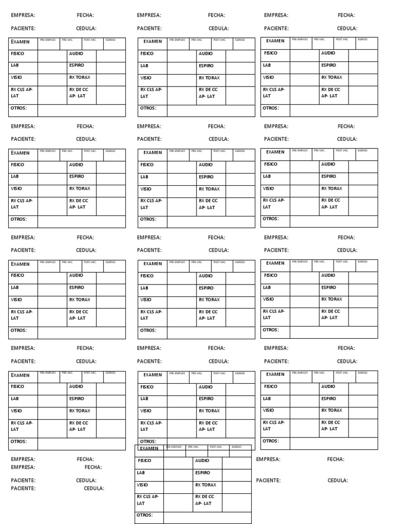 Formato Ficha Ocupacional | PDF