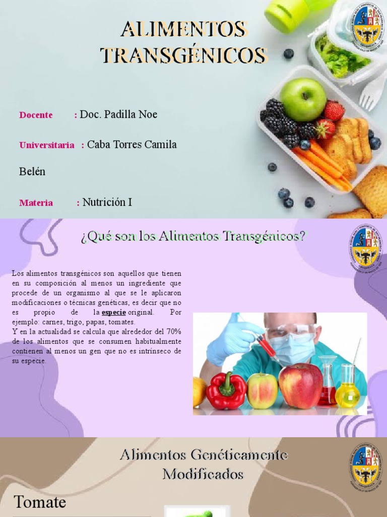 Alimentos Transgenicos | PDF