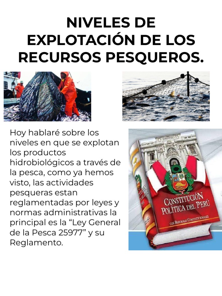 Niveles de Explotación de Recursos Pesqueros | PDF