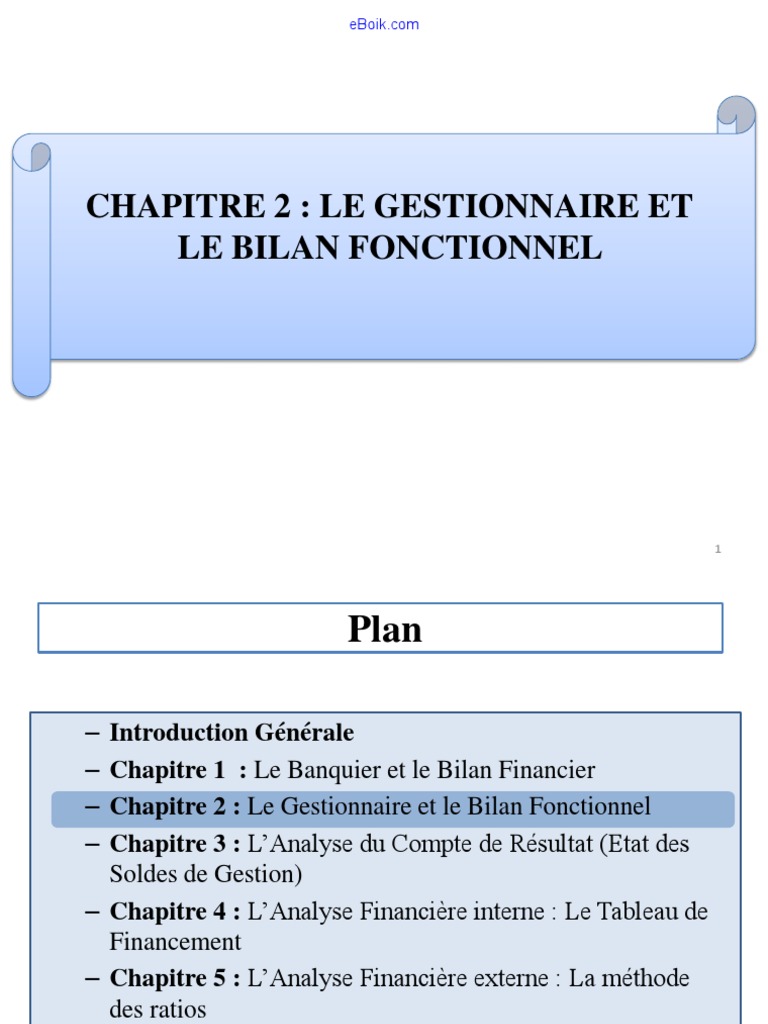 Chapitre 2 Le Gestionnaire Et Le Bilan Fonctionnel | PDF