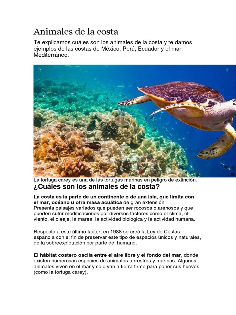 Animales de La Costa | PDF | Costa | Mar