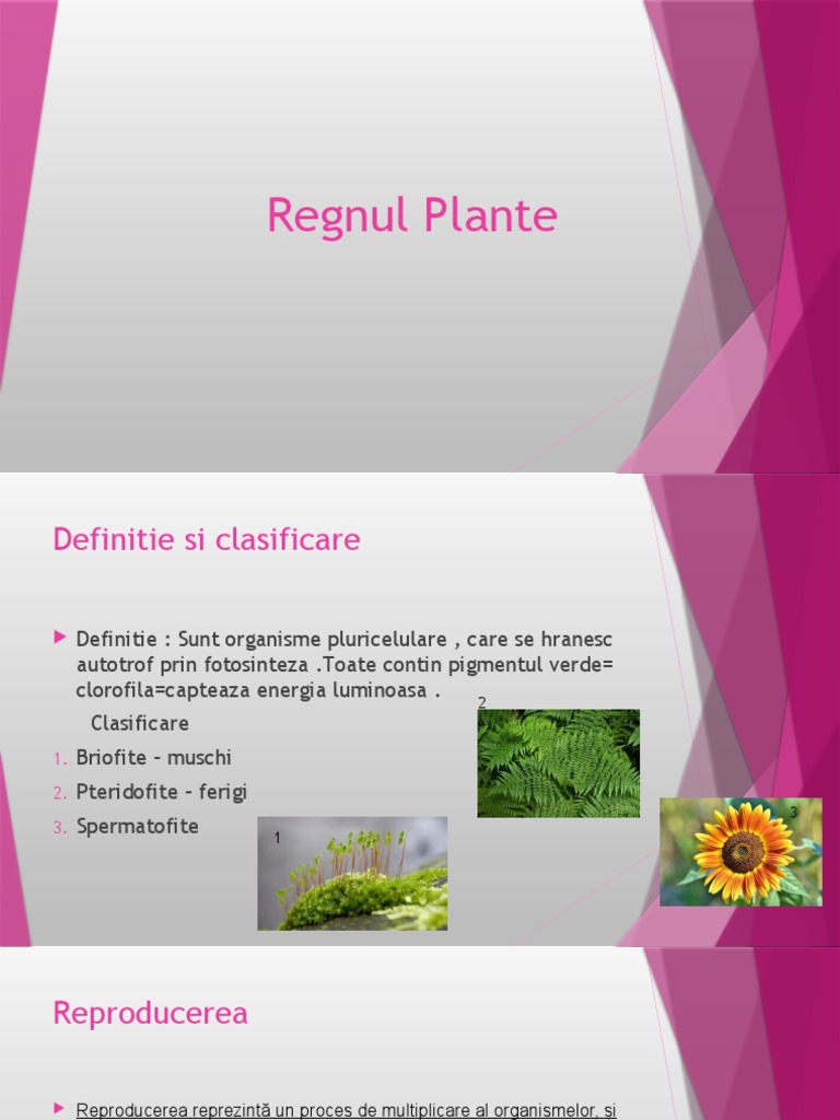 Regnul Plante | PDF