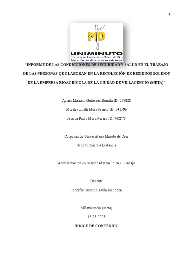 Formato Informe Normas Apa | PDF