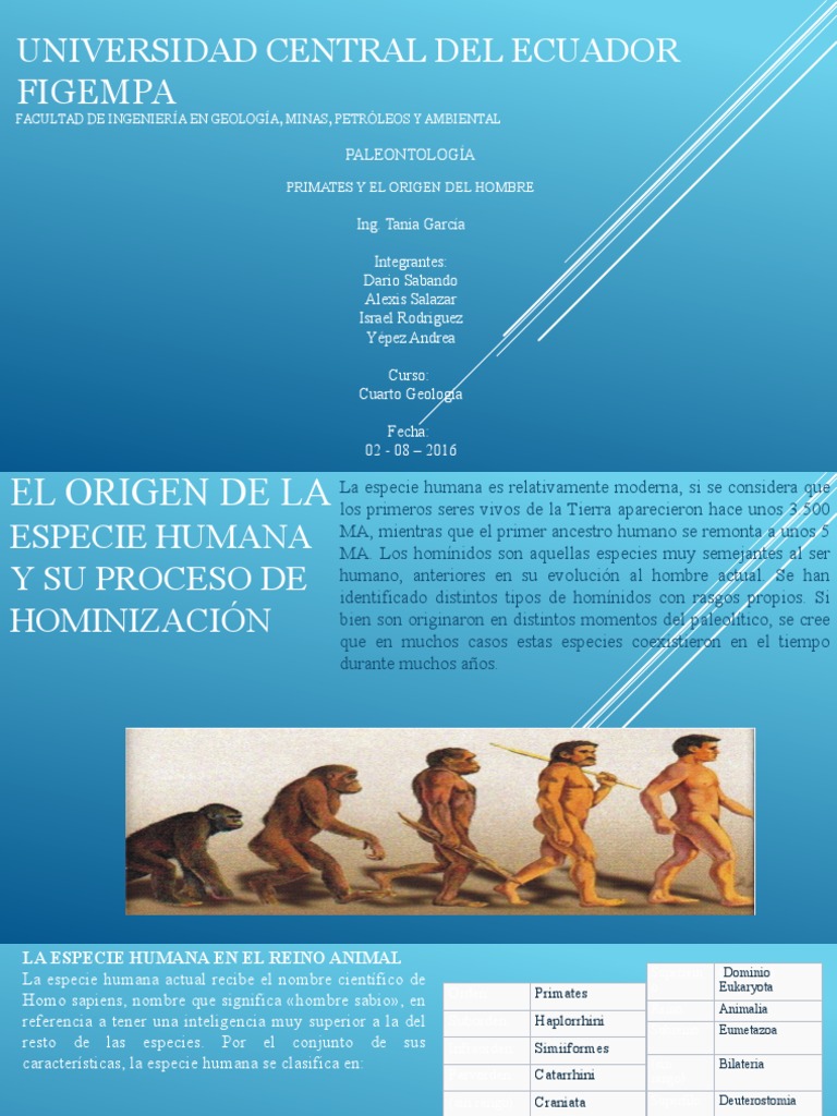 Primates y El Hombre | PDF | Homo