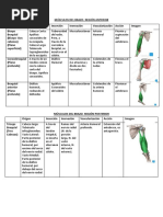 PROTOCOLO EVALUACIÓN FUERZA MUSCULAR - Escala Medical Research Council ...