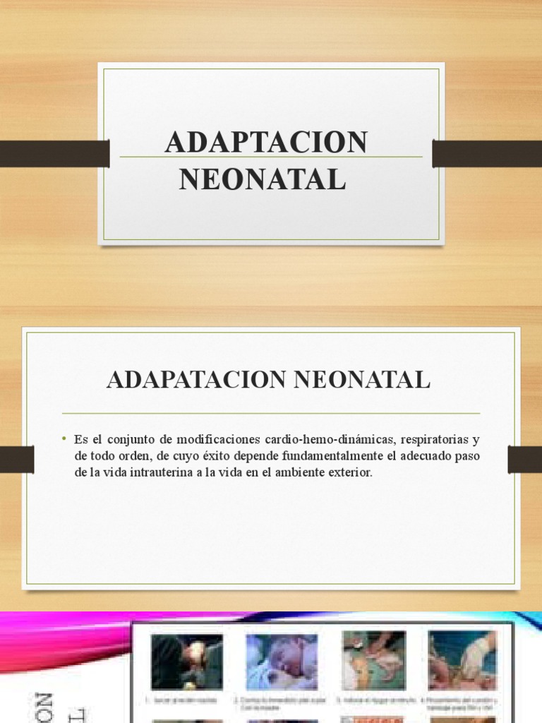 Adaptacion Neonatal | PDF