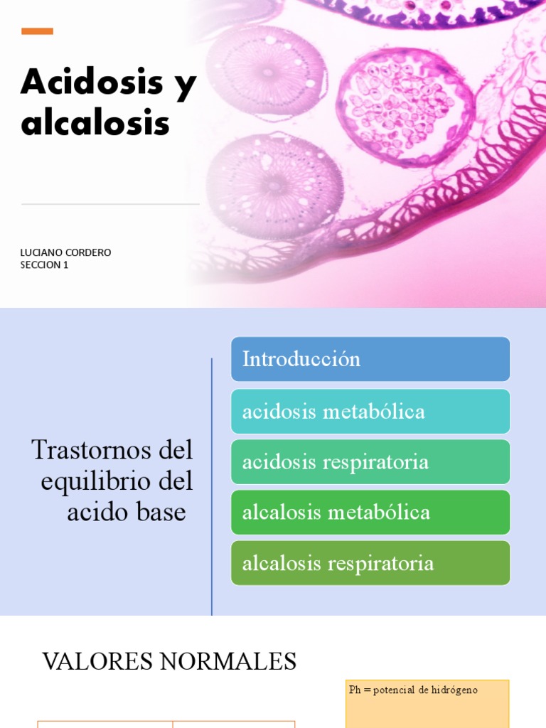 Acidosis y alcalosis: Trastornos del equilibrio ácido-base y sus ...